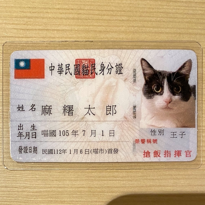 爆紅「寵物身分證悠遊卡」這裡訂做！稱號、發證日藏亮點，性別是缺蛋蛋超可愛！ | 寵物身分證悠遊卡、一卡通、iCash、毛孩、貓奴人森 | 寵物 ...